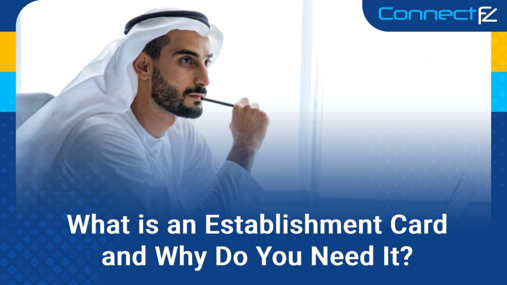 Insights - Connect Free Zone