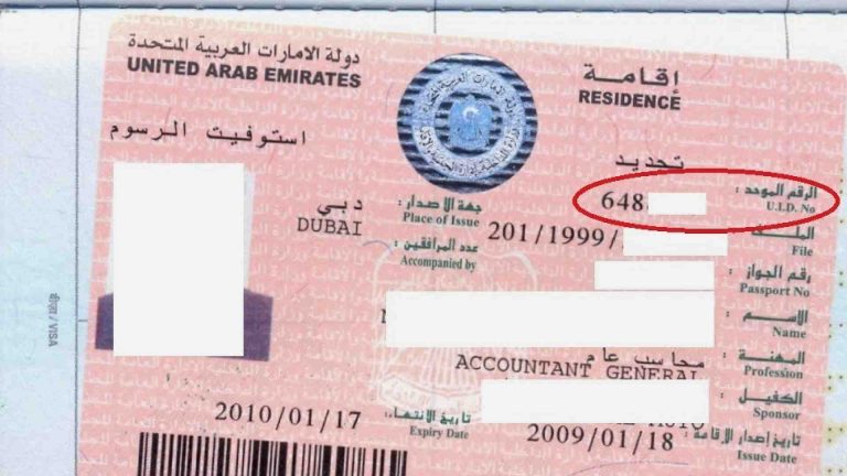 Your Unified Number UAE: Everything You Need to Know